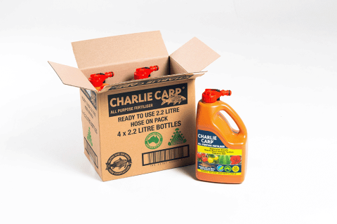 Stock Box Sizes for Shipping Boxes & More | Echo Boxes Online